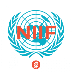 NIIF 3: Combinaciones de Negocios - Web Contable