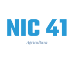 Normas Internacionales de Contabilidad (NIC): Guía Completa y Lista ...